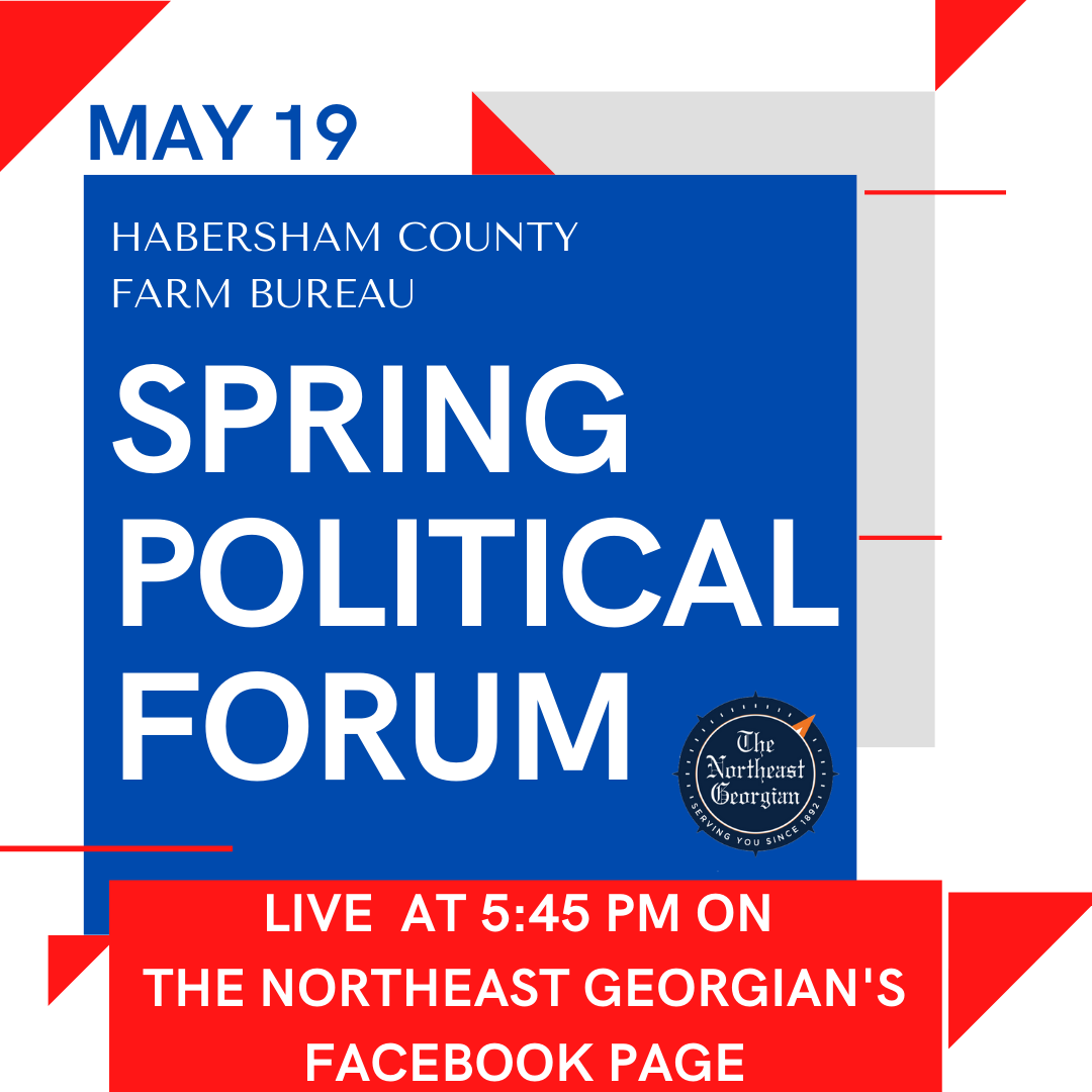 Spring Political Forum on May 19 | The Northeast Georgian, Cornelia ...